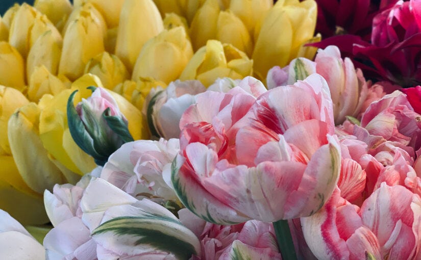 Say Good-bye with Flowers. Thank you and Good luck, Consul General | by ...