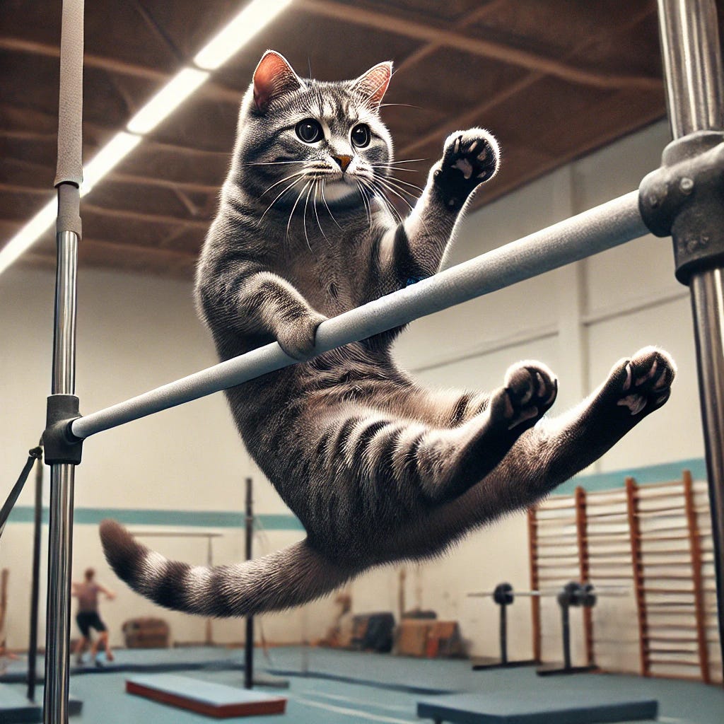 How I finally learned to build stuff with Rails | by Mackenzie Child ...