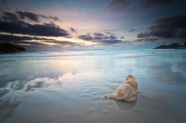 Chile in Third Gear — Parque Nacional Lauca | by Michael Gaylord ...