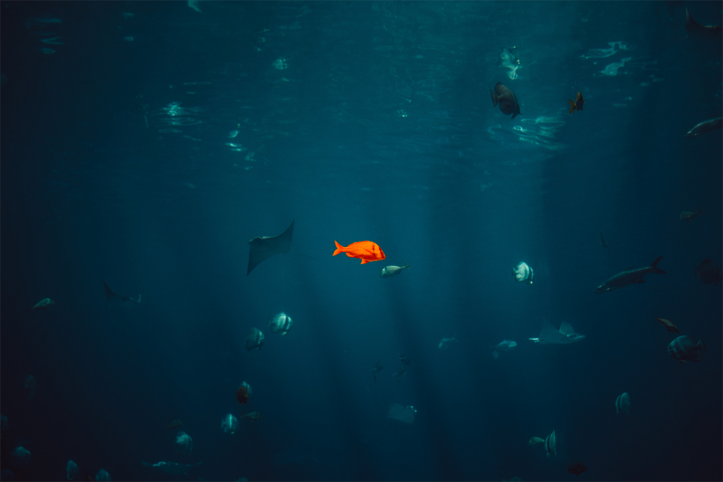 The Parallax Effect in depth. What is the famous Parallax Effect and… | by Wiredelta | Medium