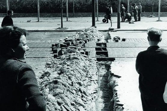 The Remarkable Architecture of Anthills | by Andrea Basilio | Medium