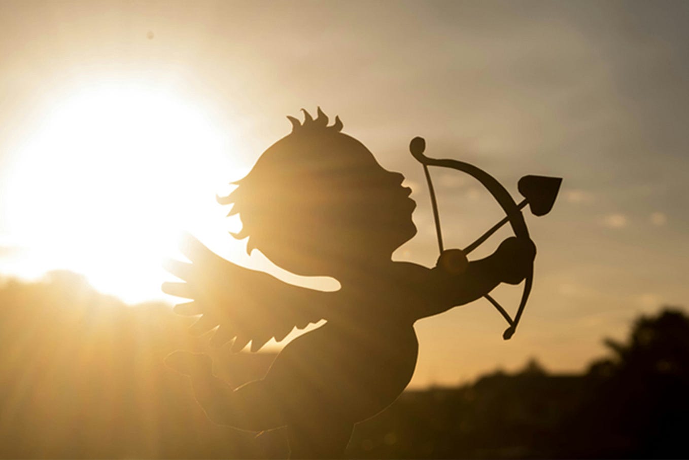 Cultivator’s Garden. The battle between control and wildness | by ...