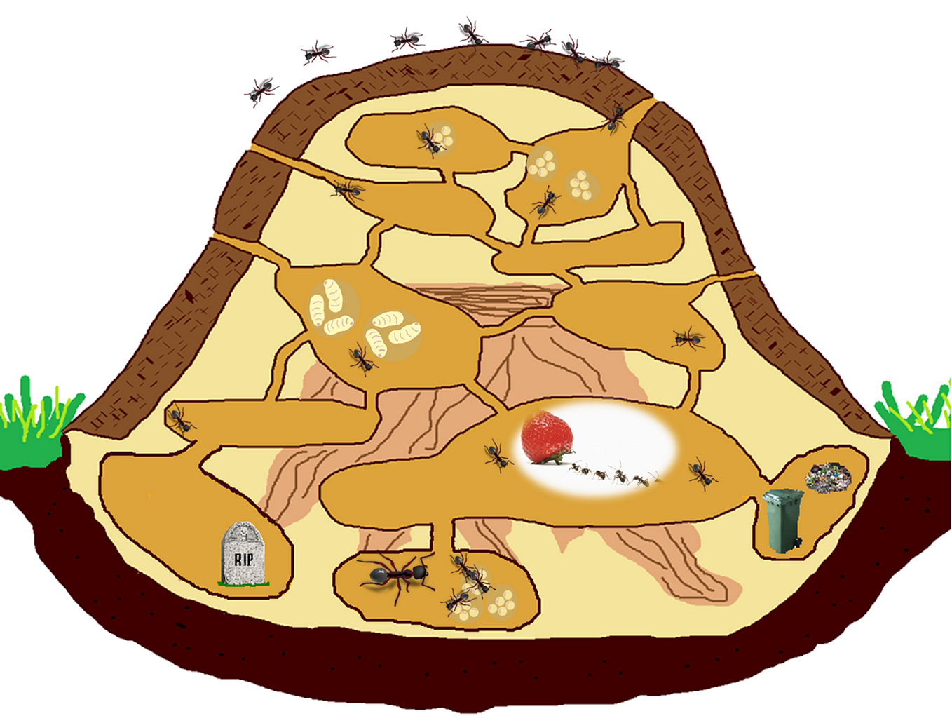 Python Pyspark Development Environment In Kubernetes Minikube By Kurangdoa Dec 2024