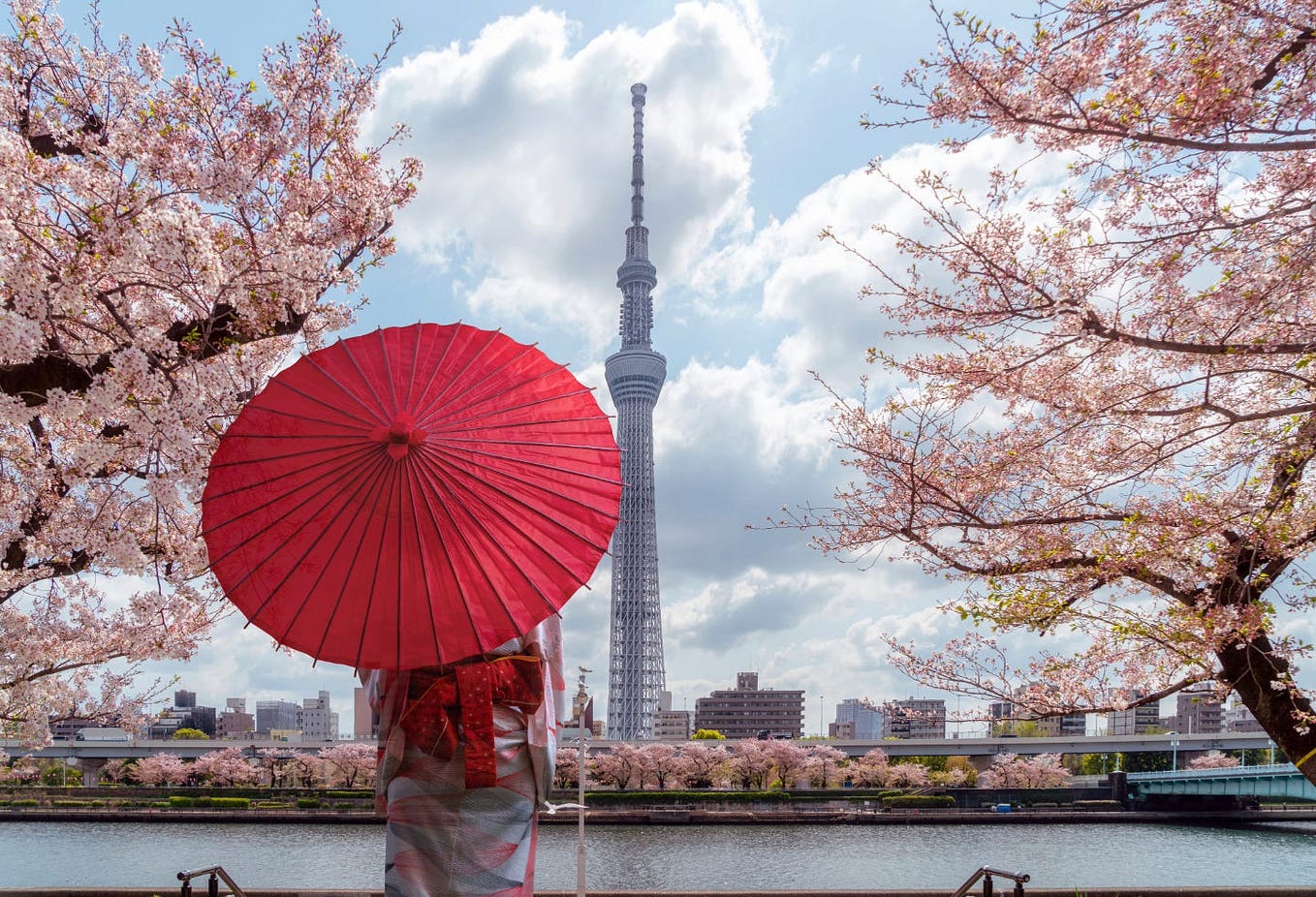 Where to See the Best Sakura in Hokkaido, Japan | by Lim Yian Lu ...
