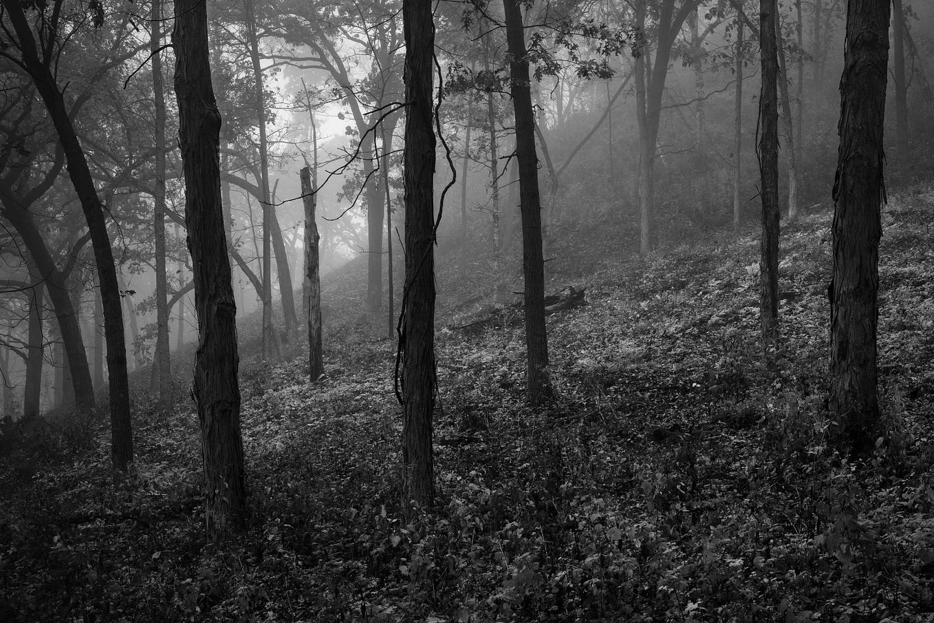 What Exactly Makes a Poem Powerful and Moving? | by Gregory D. Welch ...