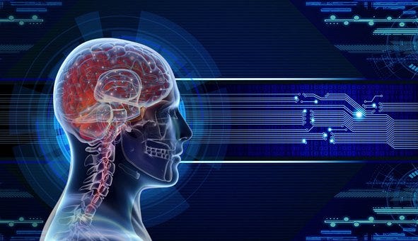 Building an EEG Circuit to Read Brain Activity | by Jovana Urosevic ...