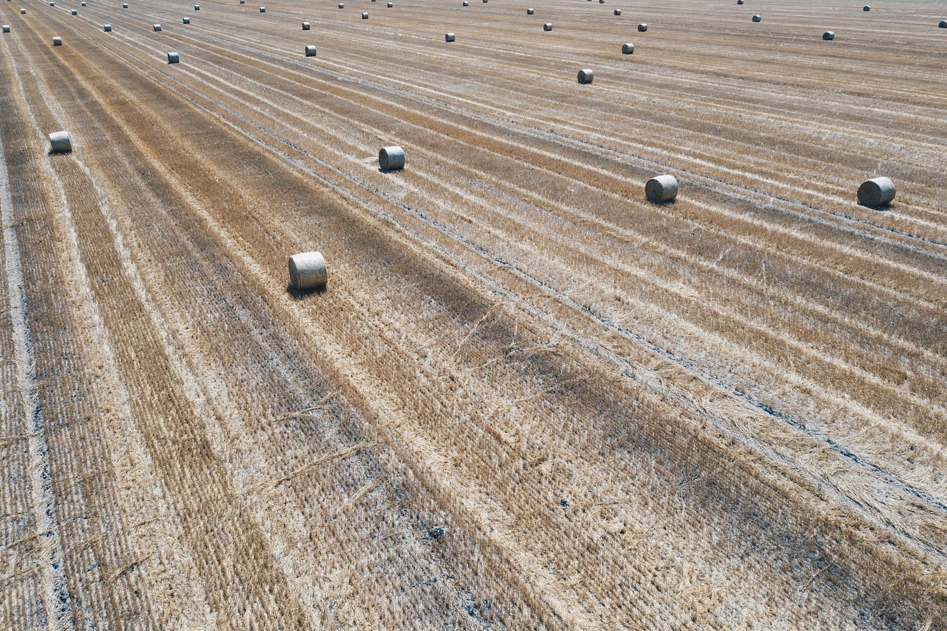 Things to Not Follow When You’re Copyediting | by Urna Gain | Write A ...