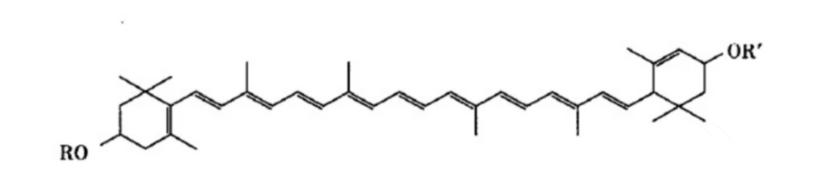 Troxerutin - kingherbs - Medium