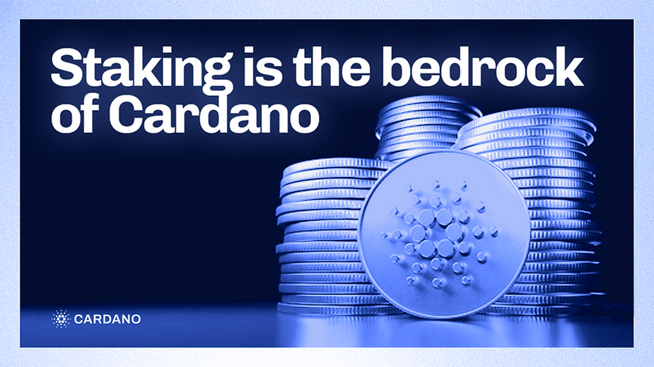All You Need To Know About Cardano’s Chang Hard Fork | by Cardano Spot ...