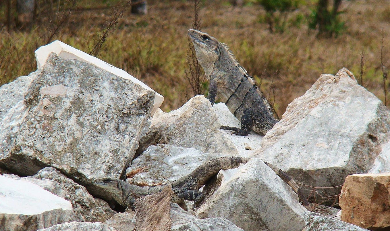 Thank you, Michael - Robert G. Longpré [he / him] - Medium