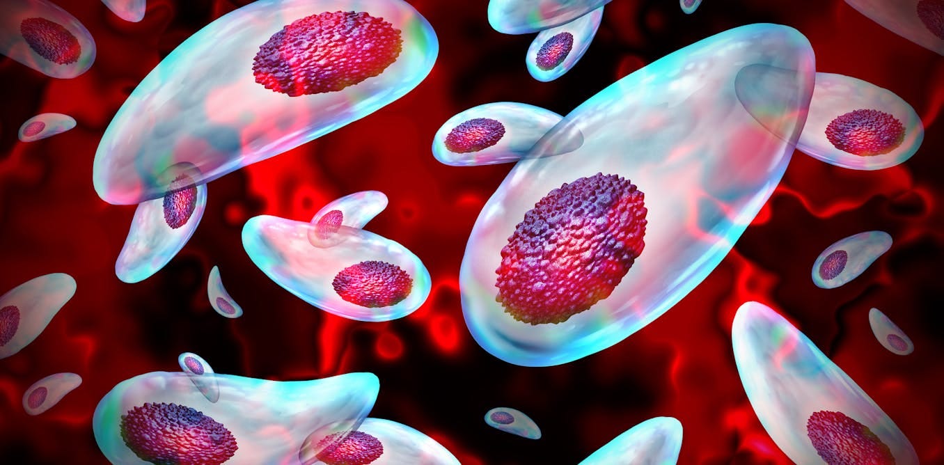 Vitamin B12: Can Gut Bacteria Synthesize It? | by Shin Jie Yong, MSc ...