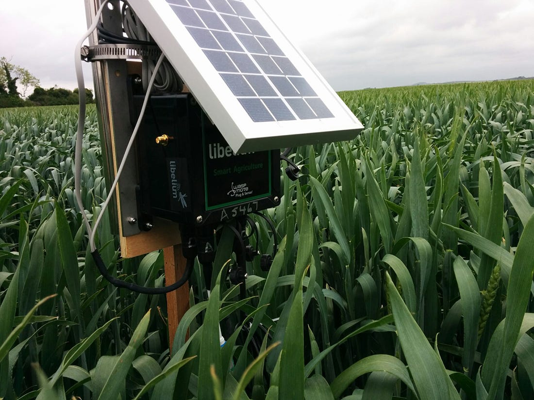 Using SSL in Azure VM in cloudapp.azure.com domains with ZeroSSL | by Michel Fernandes ...