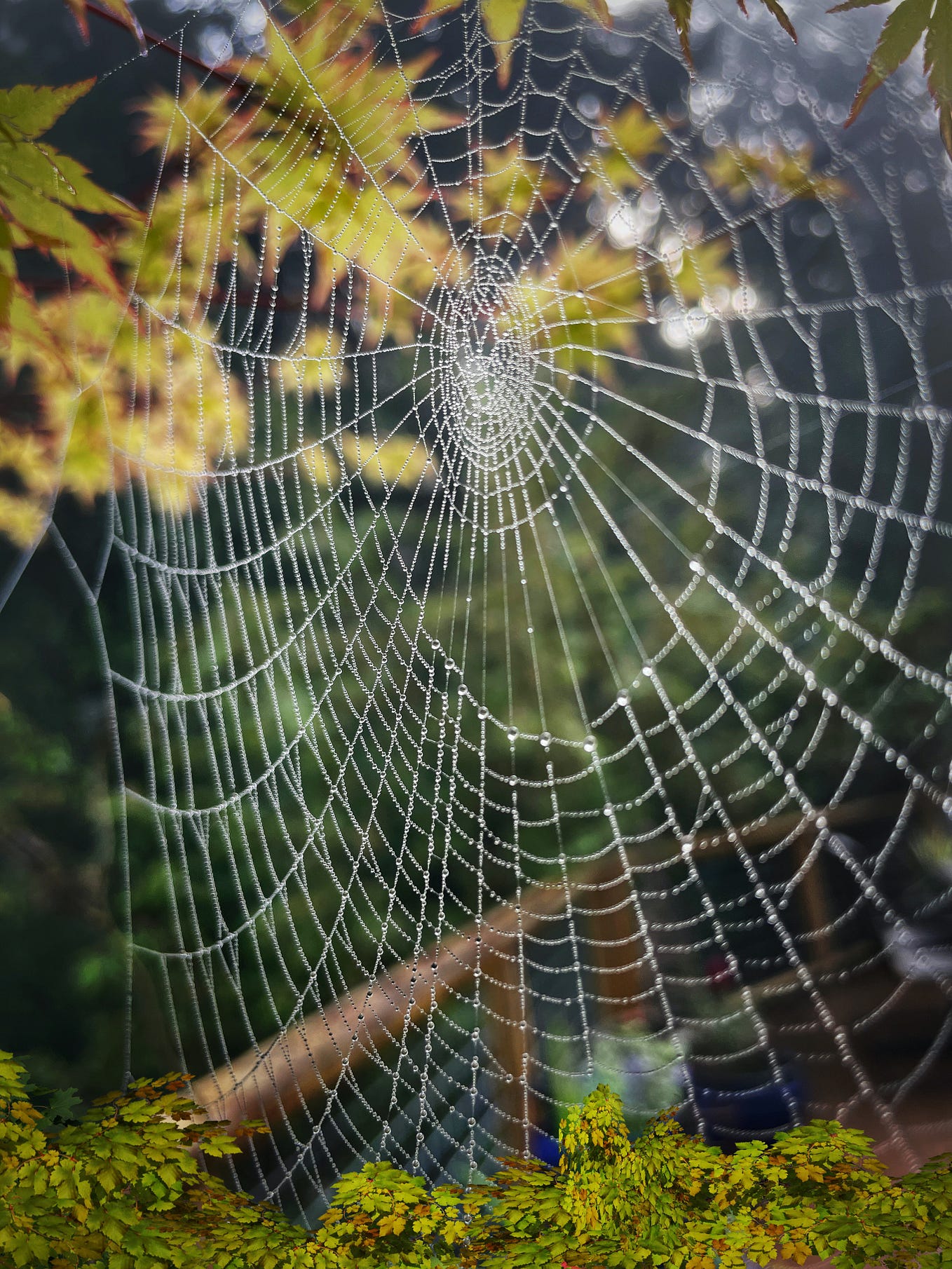 Stop Using Git Rebase. We’re going to look at why choosing git… | by ... Stop Using Git Rebase. We’re going to look at why choosing git… | by ...