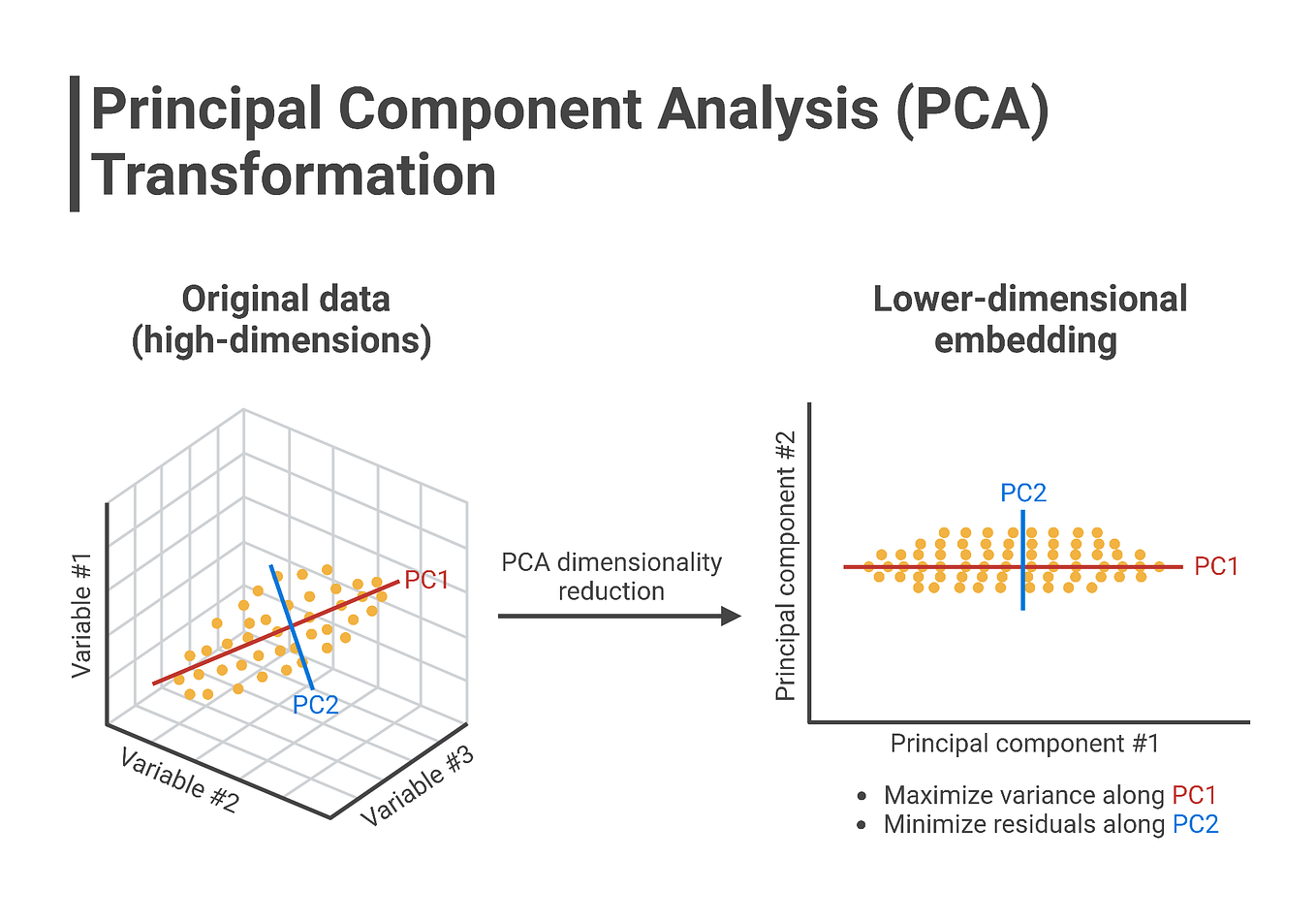 Principal Component Analysis PCA KBTG Life