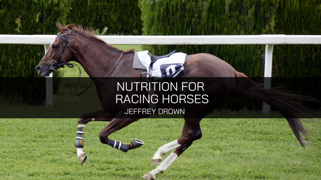 About Jeff Drown. Mr. Jeffrey Drown of Minnestoa is the… | by Jeff ...