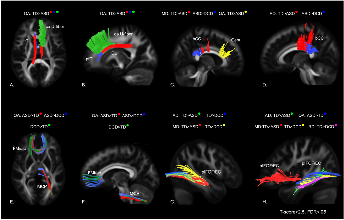 Unlocking the Potential of AI in Medical Imaging: 3D Lung CT ...