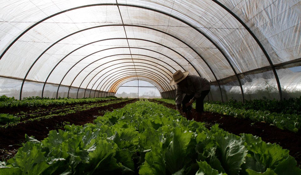 Cultivating Growth: A Comprehensive Look at the Agriculture Sector in India | by Tanush sahu ...