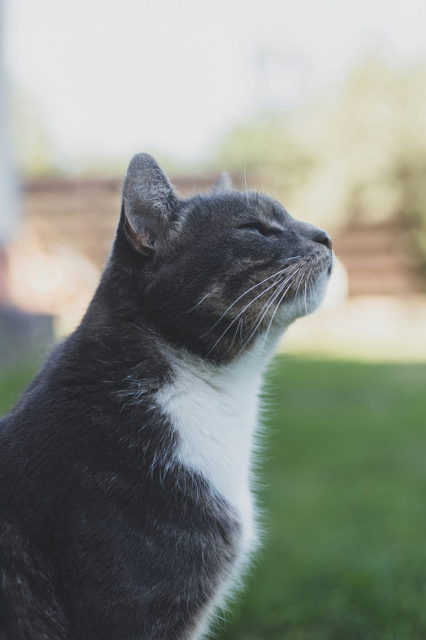 Right! - Willow Reed - Medium