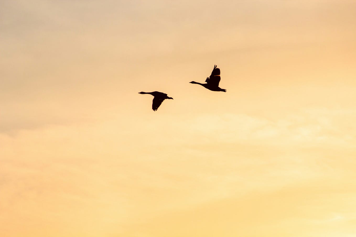 Create Excel File With Nest Js And Excel Js By Muhammad Ichsanul Fadhil