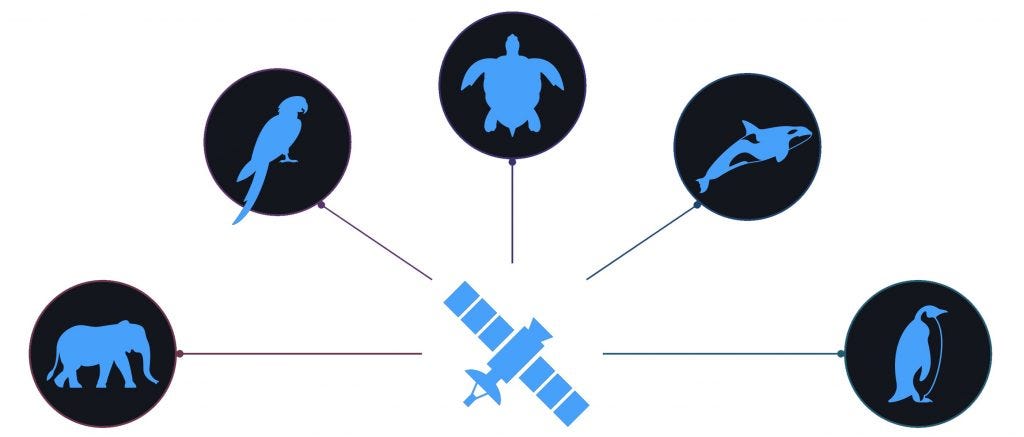 Replacing If-Else Statements with Enums in Java: A Cleaner Approach ...