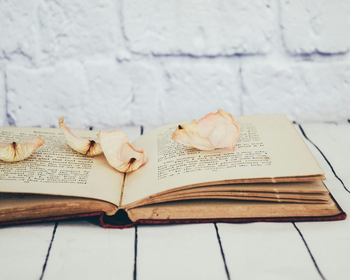 05 Beautiful Stories About Nature and Wildlife | by 🌍 S M Mamunur ...