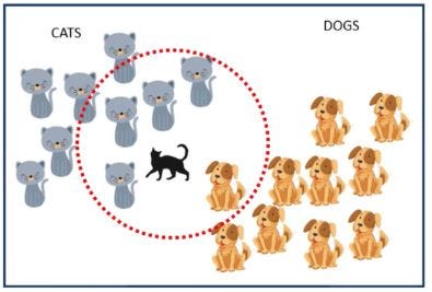Deploying Machine Learning Models with FastAPI and Docker: A Step-by ...