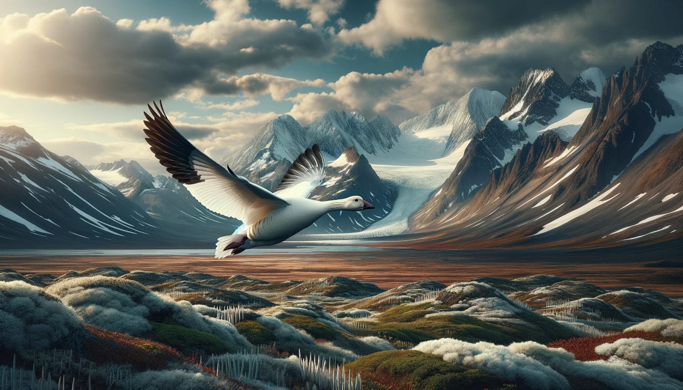 Pytorch And Chill How To Set Up Your Conda Environment And Docker Container For Pytorch By