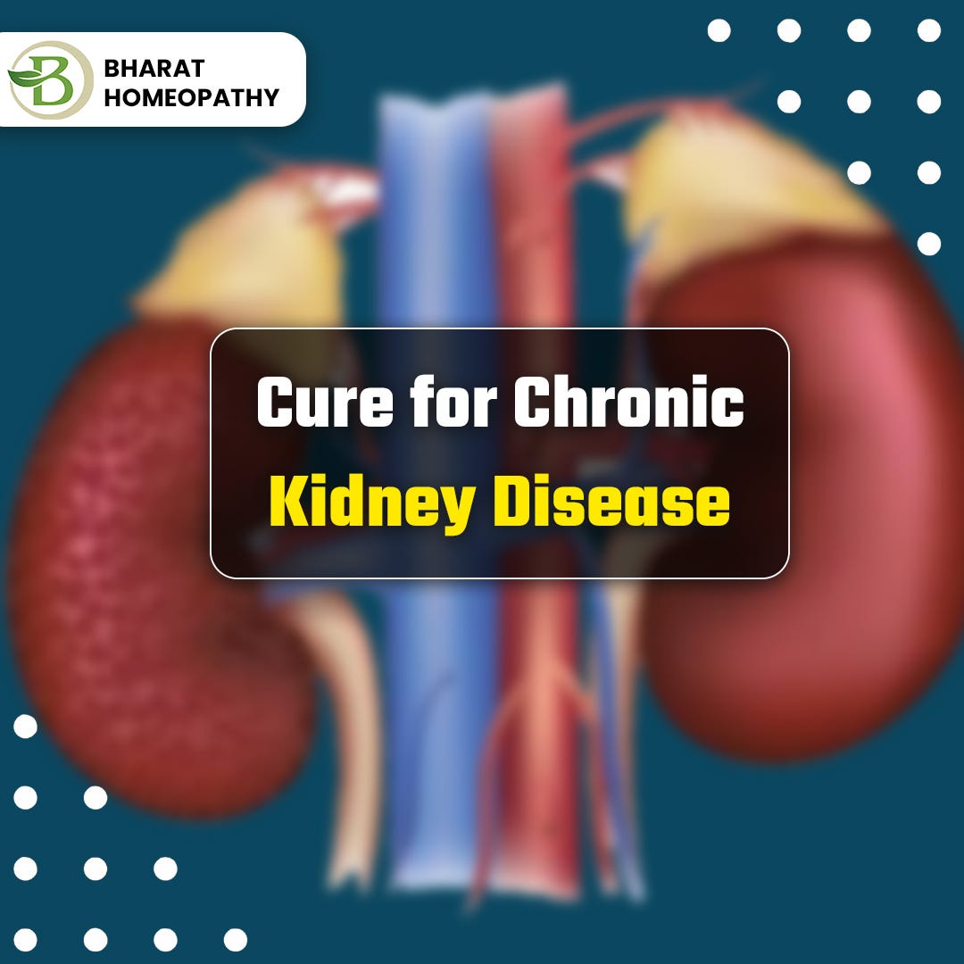 Can Chronic Kidney Disease Be Cured? Exploring the Possibilities | by ...