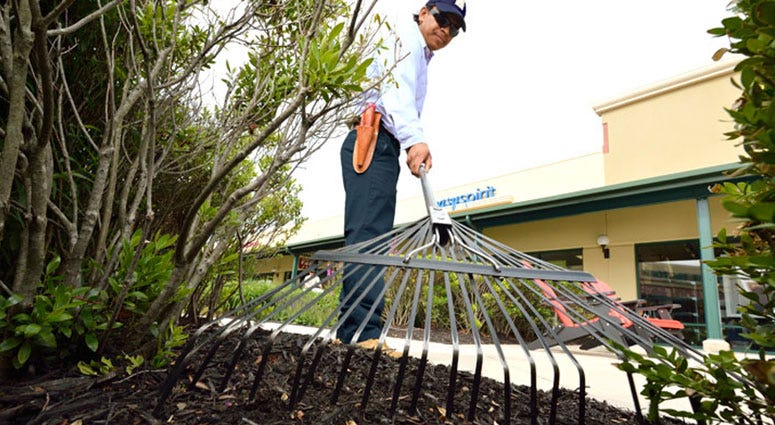 Choosing the Right Yard Maintenance Services in Bradenton - Superior ...