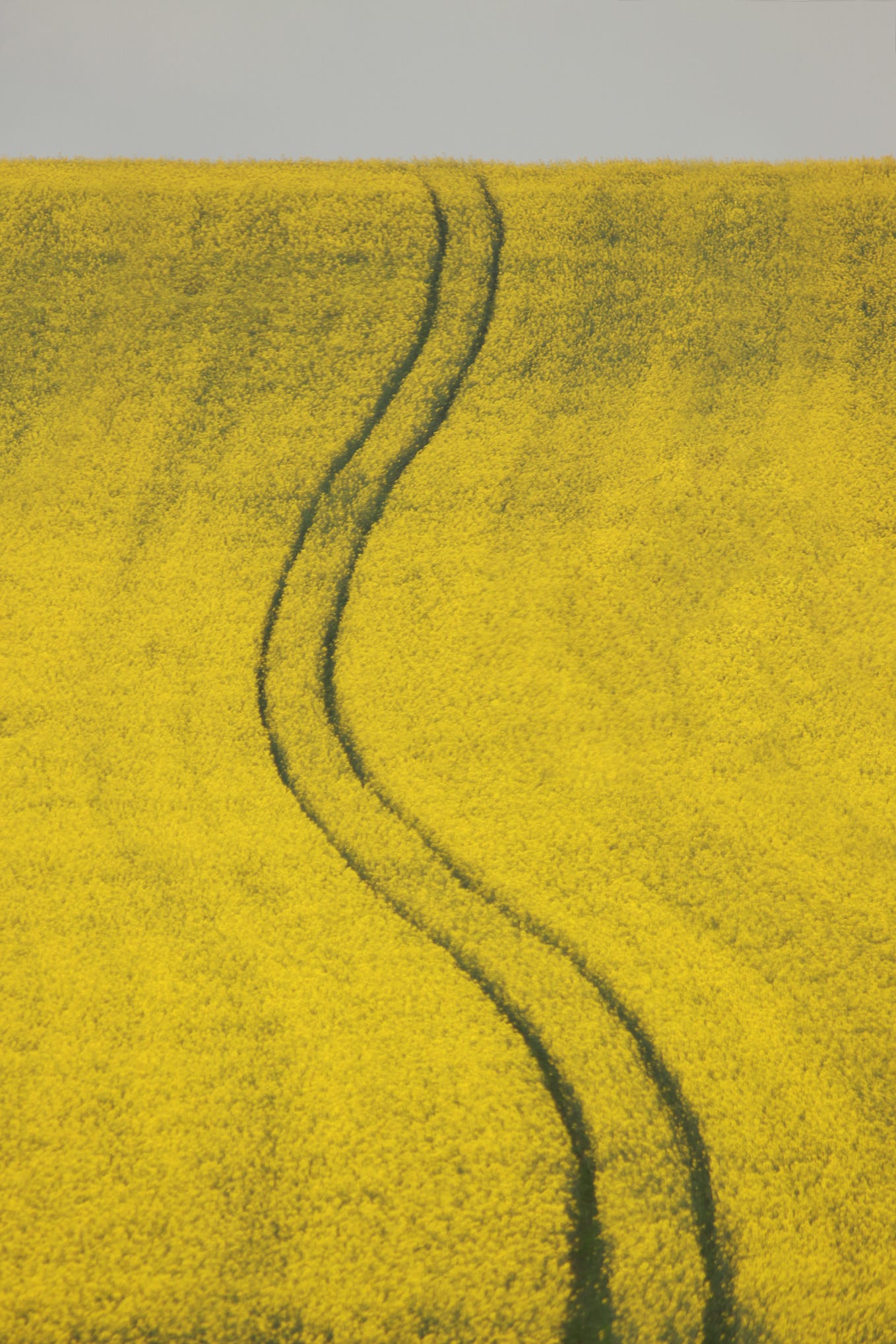 How To Start Reading Again. No matter how long ago you stopped… | by ...