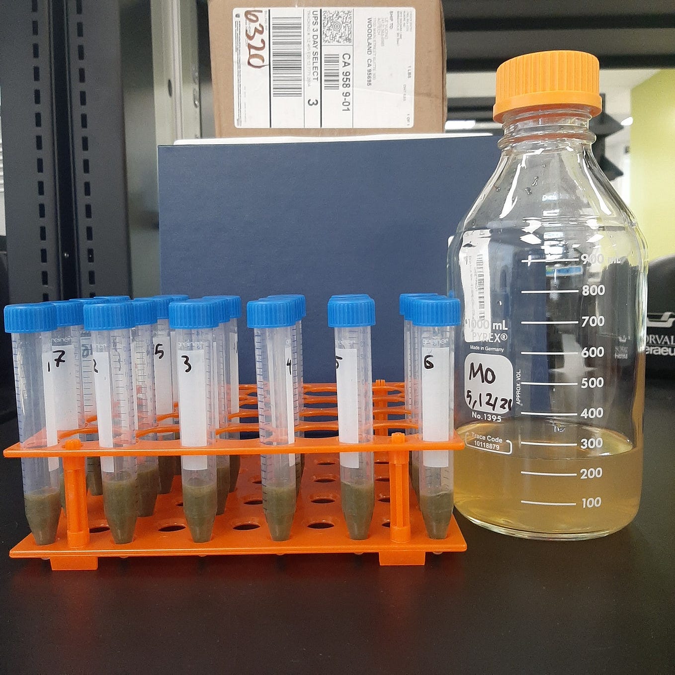 A simple seaweed value chain. An overview of the industry and the… | by ...
