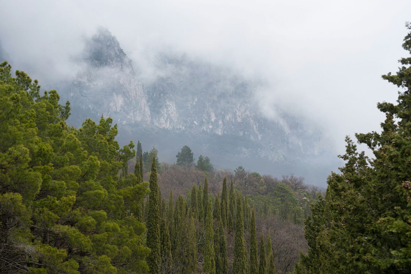 Django Plpy Django Toolkit For Python Stored By Handmade Software Codex Medium