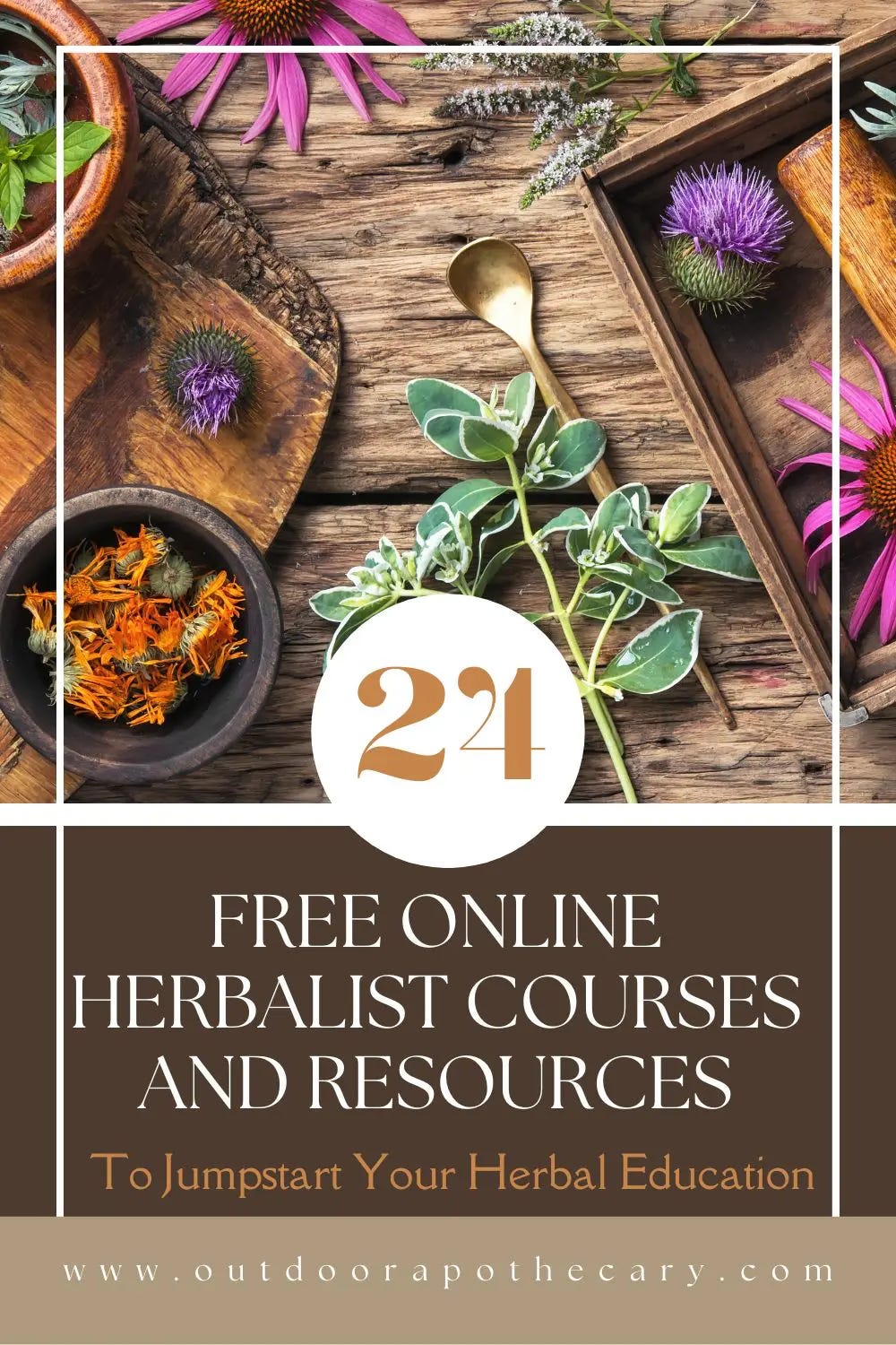 Rooted Living: 6 Easy Ways To Cultivate A Deeper Connection To ...