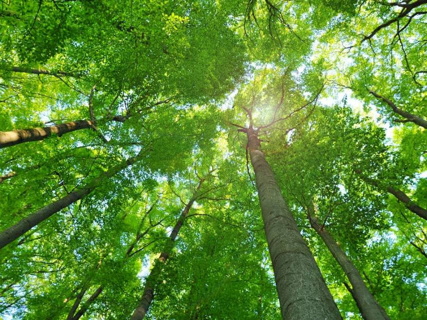 Greenspaces and my Childhood. Growing up in New Jersey, I was pretty ...