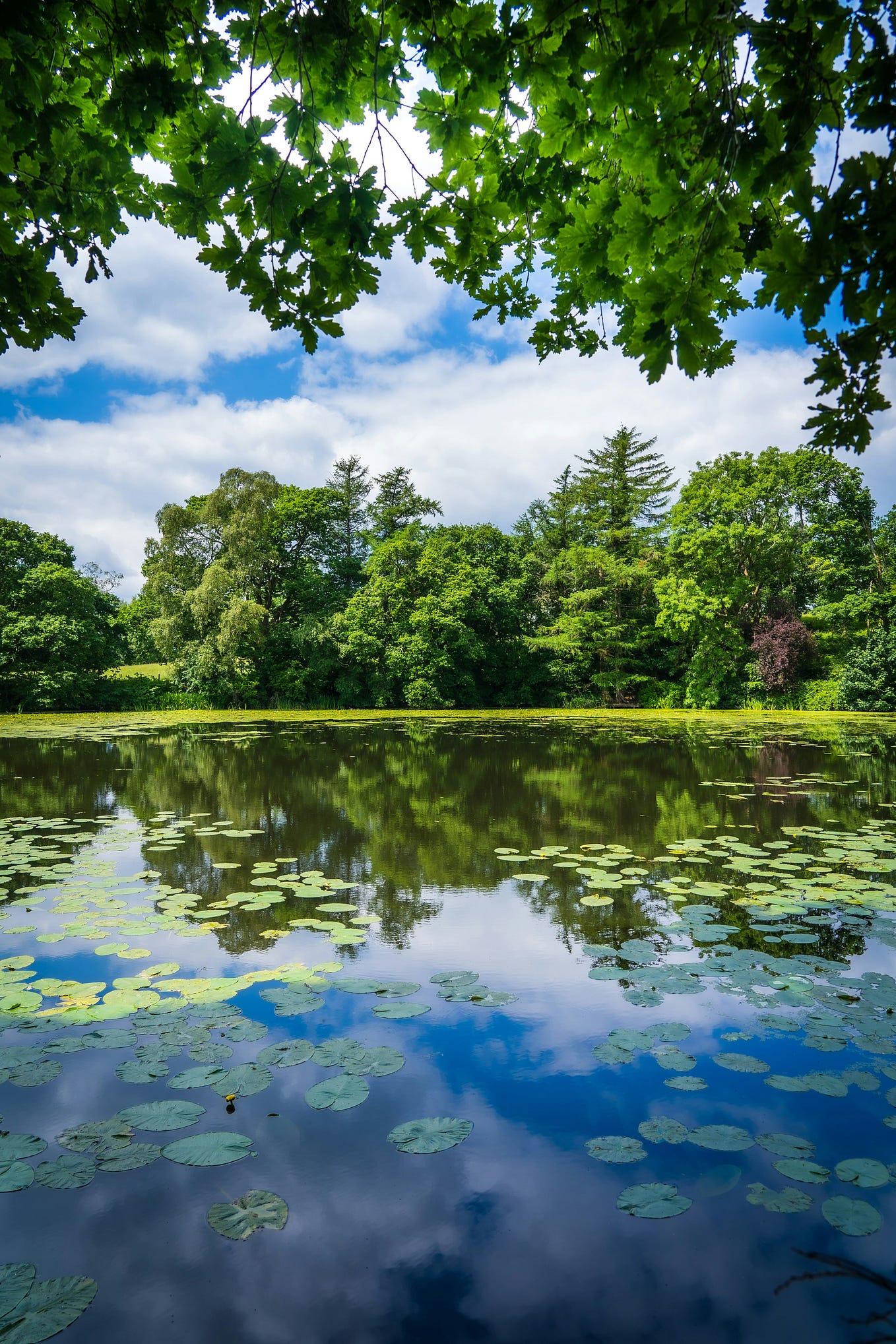 Eckhart Tolle Teaches To Not Identify With Your Thoughts — But How Do ...