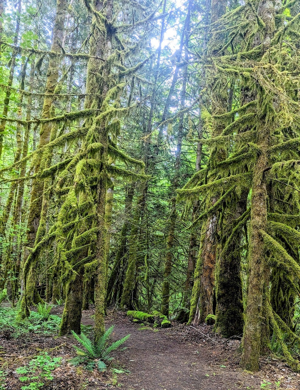 Dimples. A free verse poem | by Abigael Taiwo | iPoetry | Medium