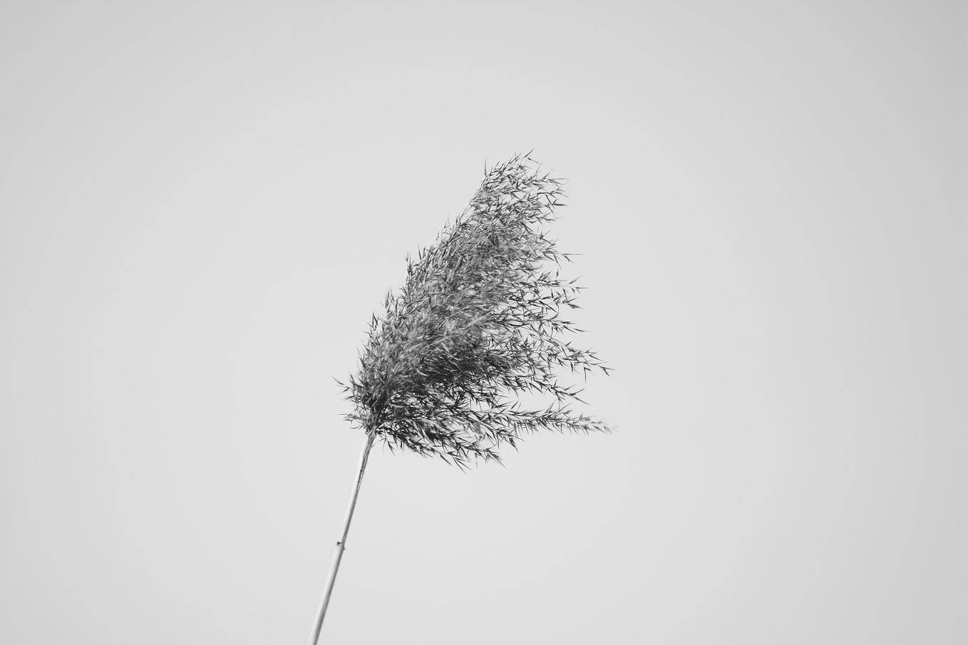 Azure App Insight Tables and KQL. Flow | by Tech Ckumar | Medium