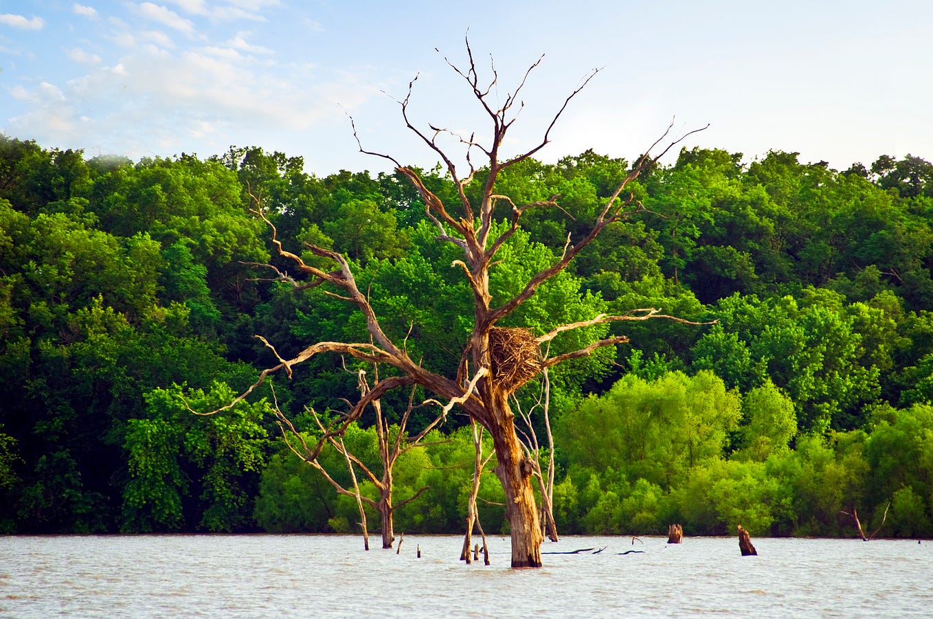 Pretty Ramp Machine. What if disability isn’t a medical… | by Tim Maly ...
