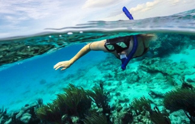 5 Reasons Why the Cayman Islands Should Be Your Next Vacation ...