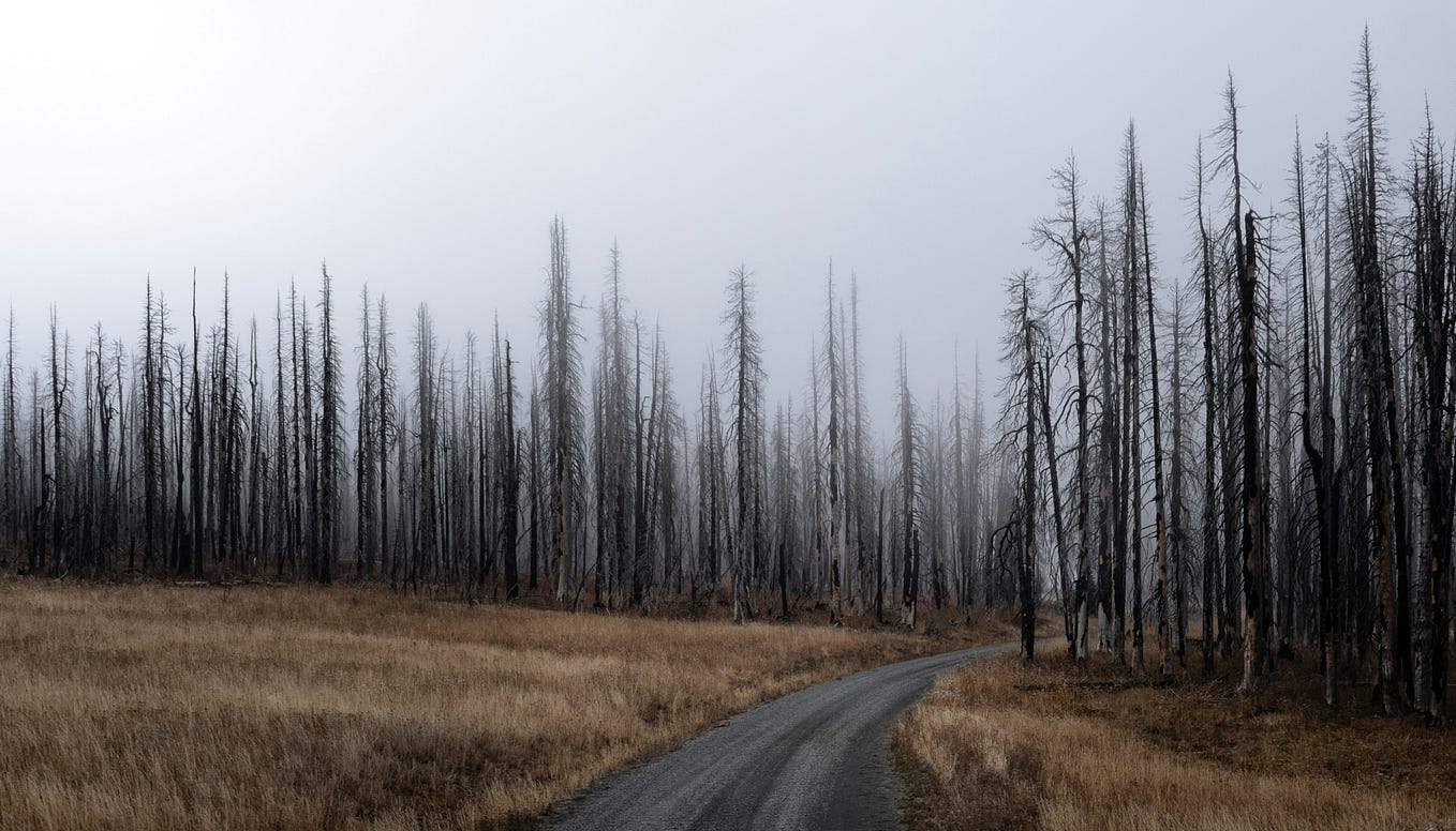 What is the new Neural Network Architecture?(KAN) Kolmogorov-Arnold ...