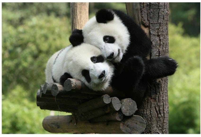 Python Fundamentals Working With Strings And String Manipulation By Mr Zouraiz Medium