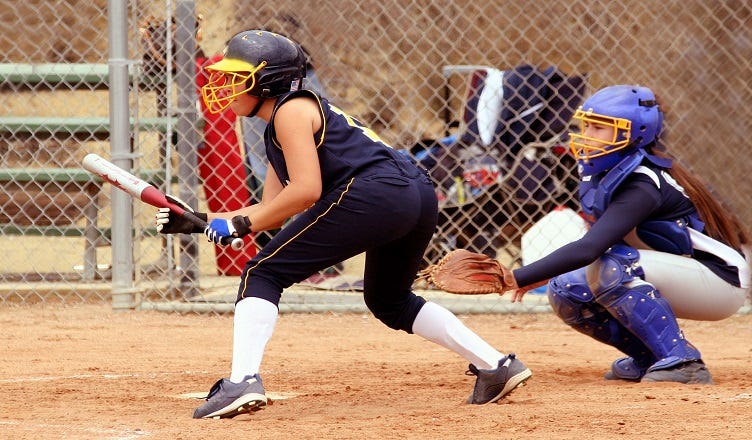 The Best ASA Softball Bats for 2023 | by SPC Sports | Medium