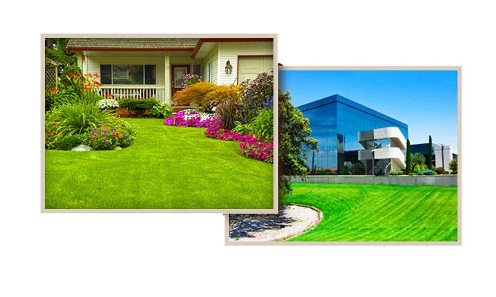 Lawn Care Rome. Morning walk is very important for a… | by gaproturf ...