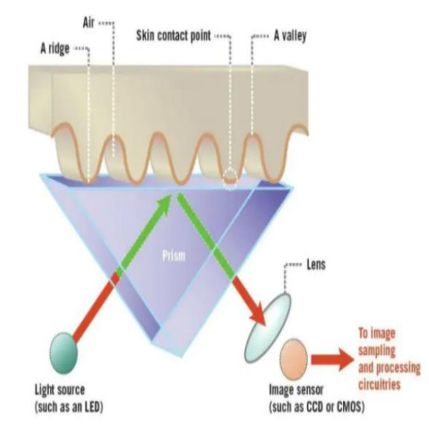 Web Automation using Selenium. In today’s fast-paced world, where… | by ...