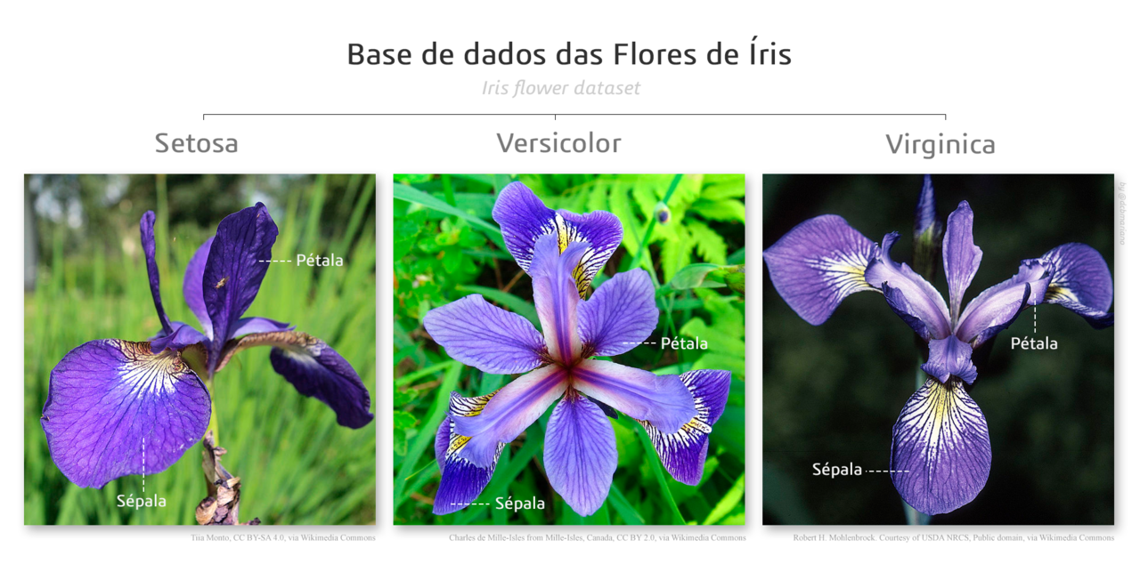 Boxplot Com Python Usando Matplotlib E Seaborn By Oséias Farias Editorial 20 21 Medium