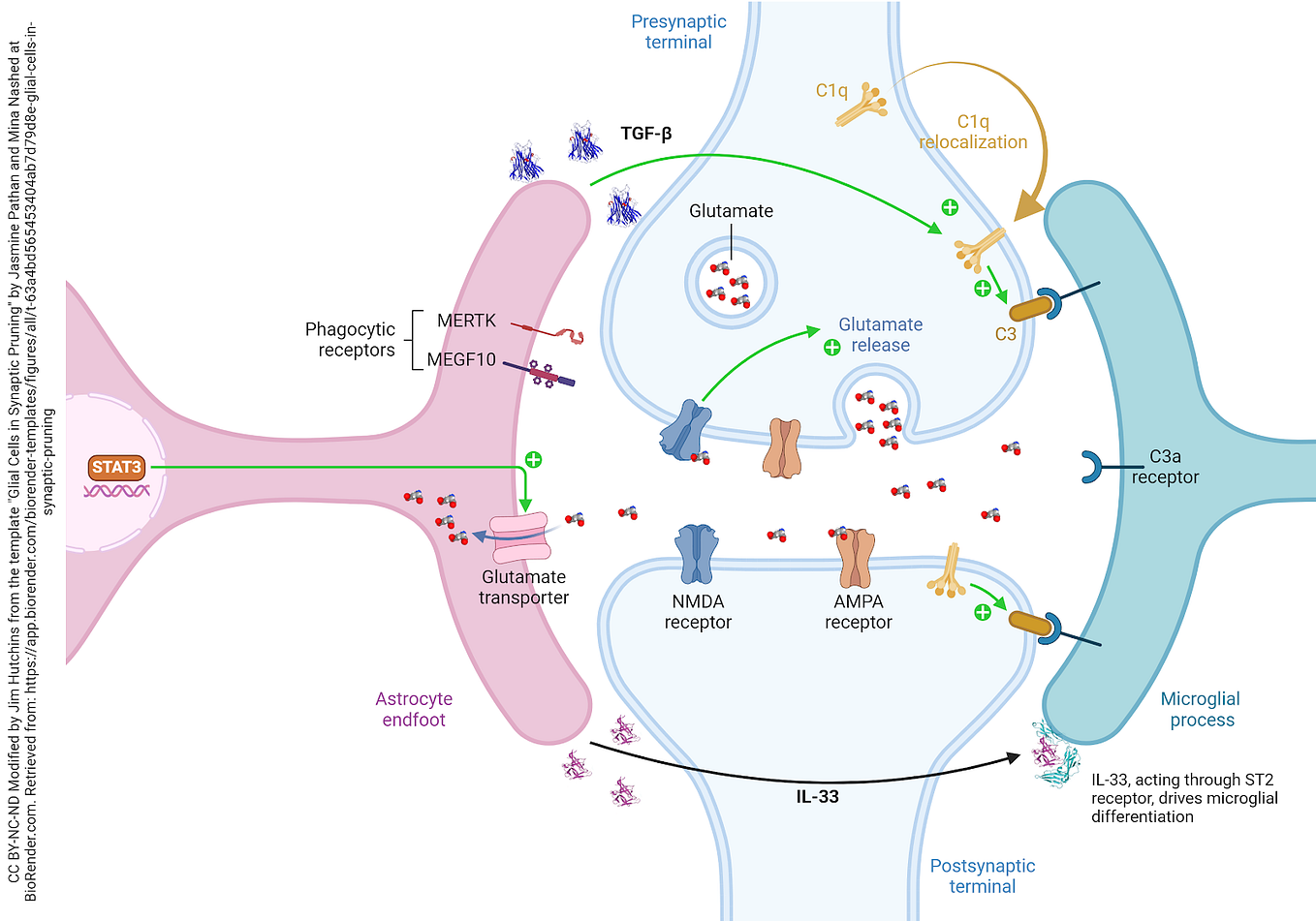 When Trauma Changes Who We Are: The Brain’s Default Mode Network | by ...