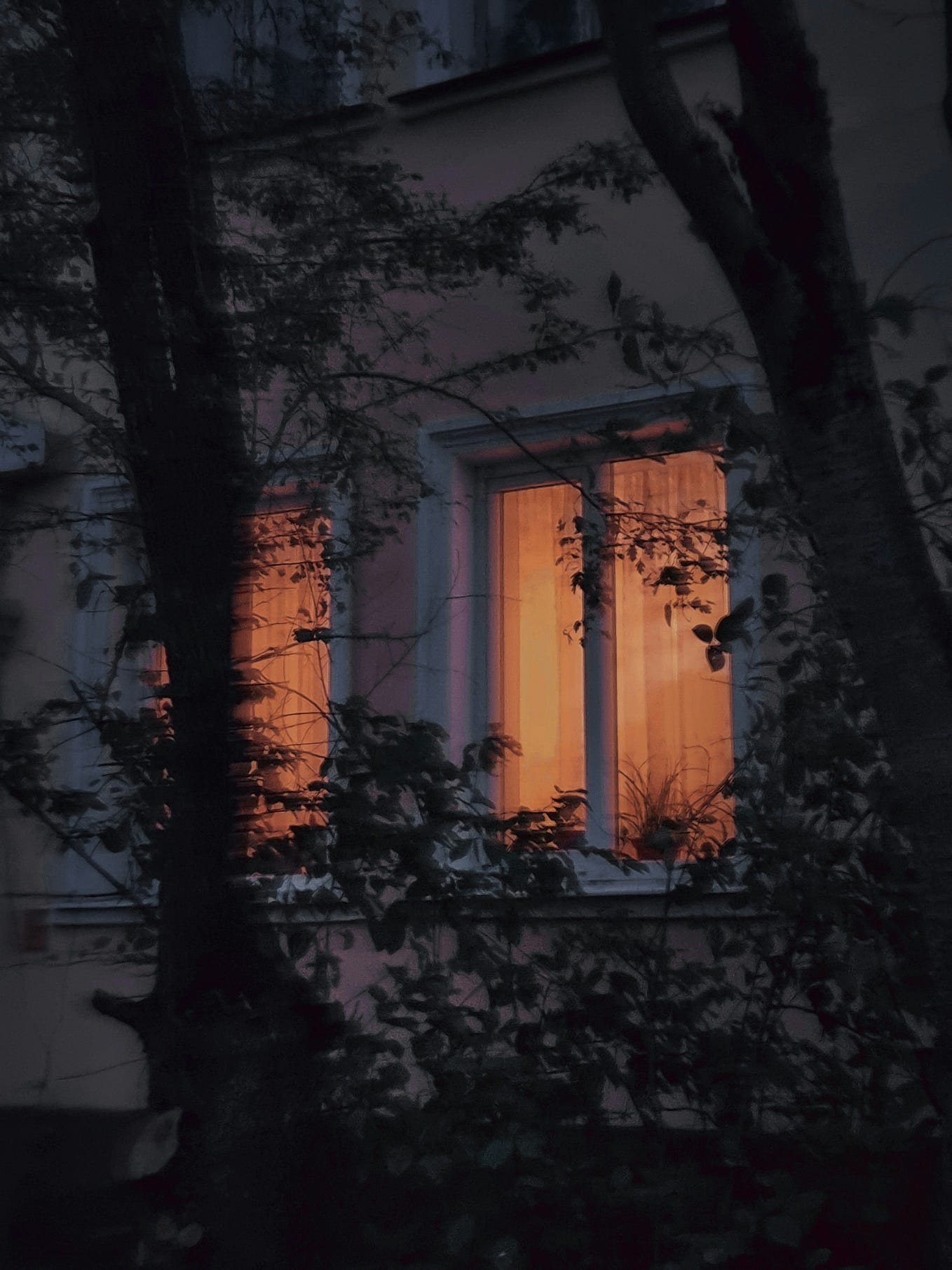 How magic hour looks from my photo gallery | by Nazish Fatima | Mindful Blogs | Dec, 2024 | Medium