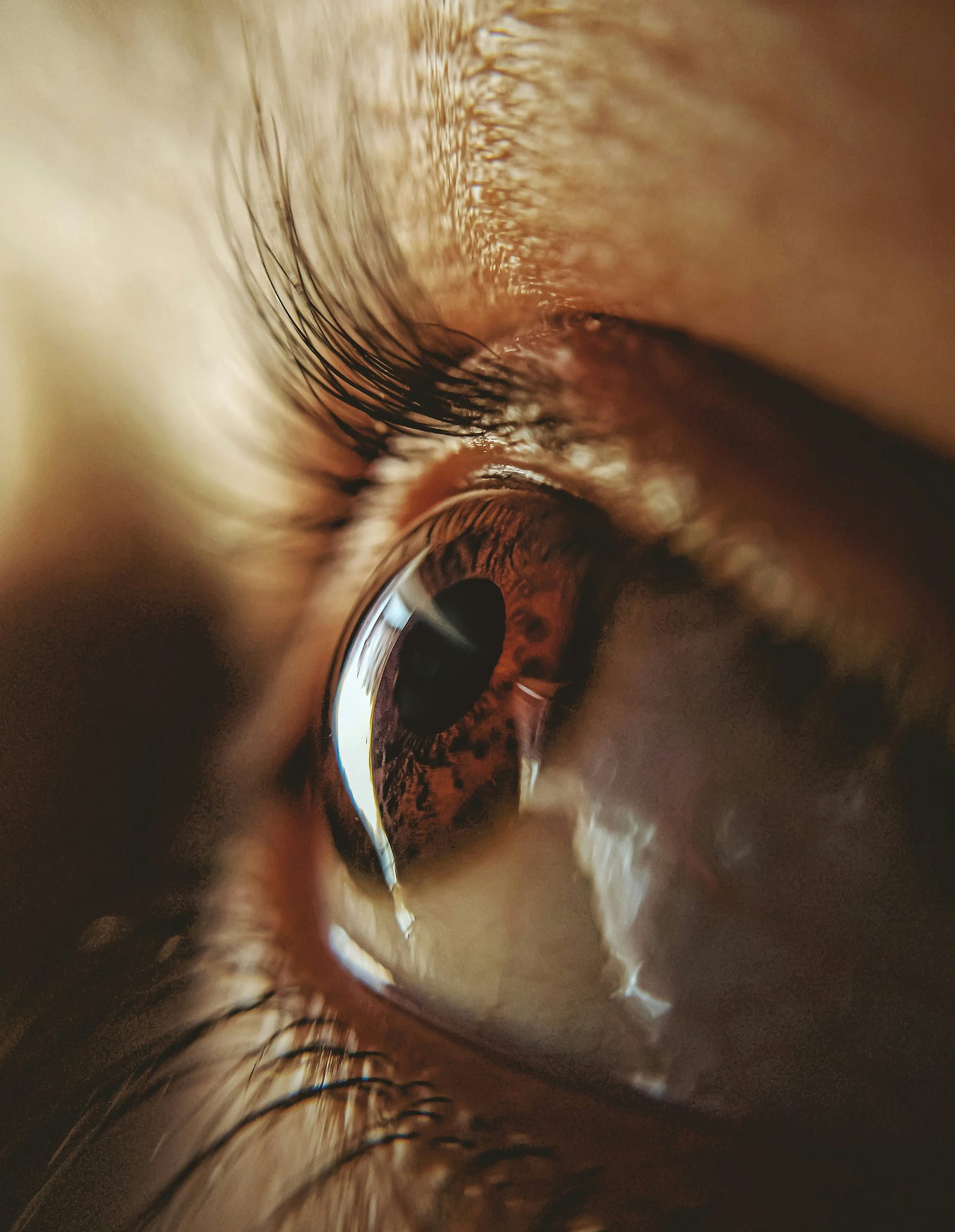 Are The Eyes The Window To The Soul? | Awakening Souls