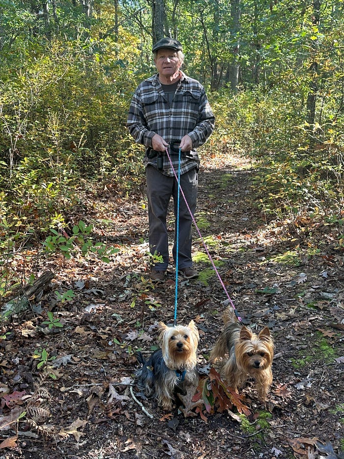 Buckwheat — A Friend in Need. Beds of flowering buckwheat are… | by ...