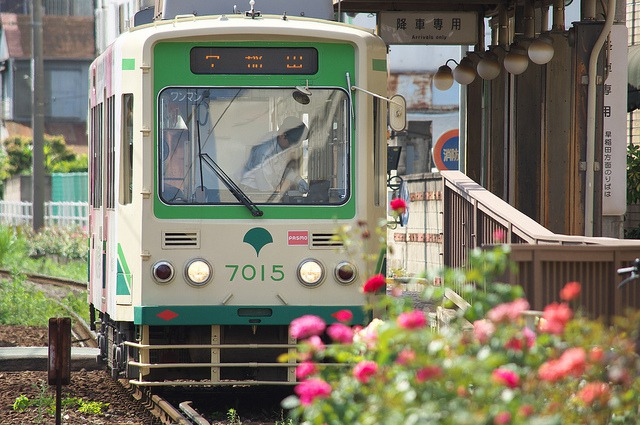 Nurturing a Greener Tomorrow: Japan’s Environmental Education and ...